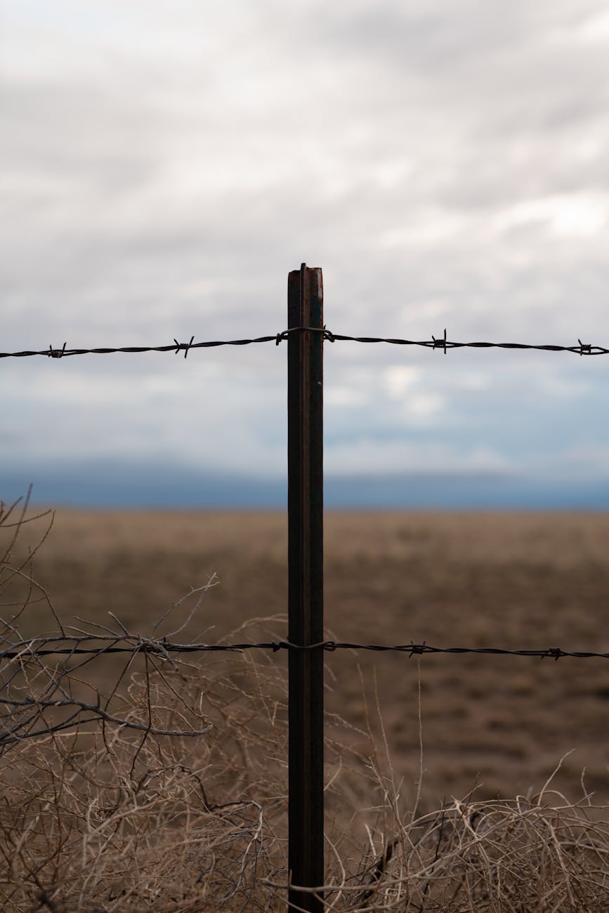Desert Devil Tumbleweed - Pin Drops & Paper Trails